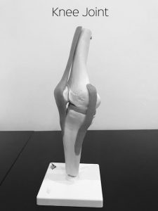 Physiotherapy advice for a hyperextended knee. – Physis Physiotherapy