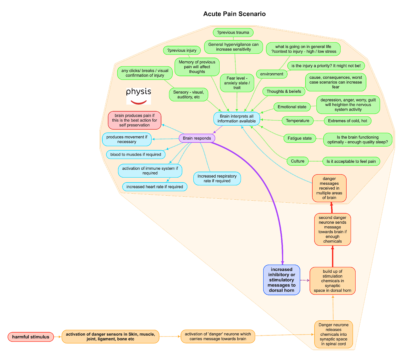 Pain Reprocessing Therapy for Persistent Pain - 1. Pain Education ...