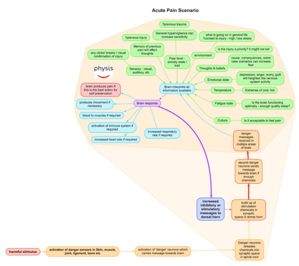 Pain Reprocessing Therapy for Persistent Pain - Physis Physiotherapy