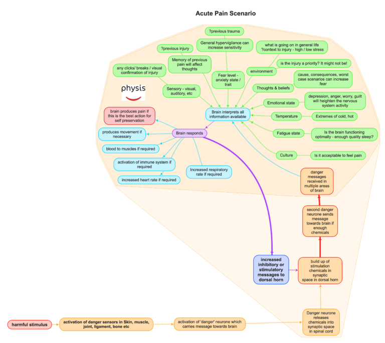 Pain Reprocessing Therapy for Persistent Pain - 1. Pain Education ...